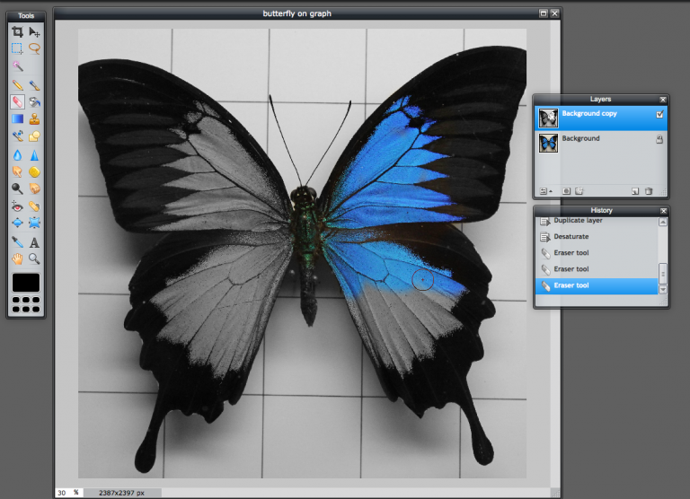 A quick guide to selective coloring in Pixlr Editor - Pixlr Blog