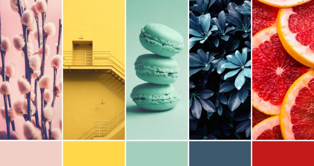 5 Spring Color Palettes to Help Your Brand Stand Out in 2021 - Pixlr Blog