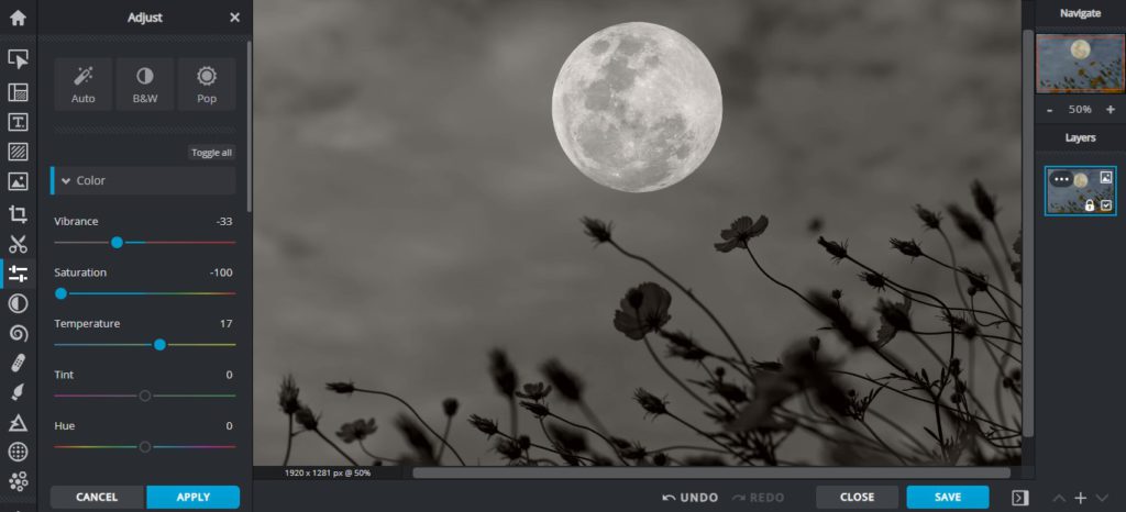 How to Make Your Photos Black and White with Pixlr X - Pixlr Blog