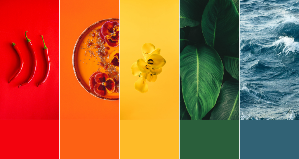 5 Summer Color Palettes You Should Use in Your Designs This Season ...