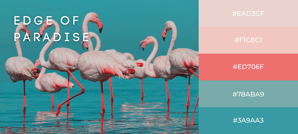 5 Summer Color Palettes You Should Use in Your Designs This Season ...