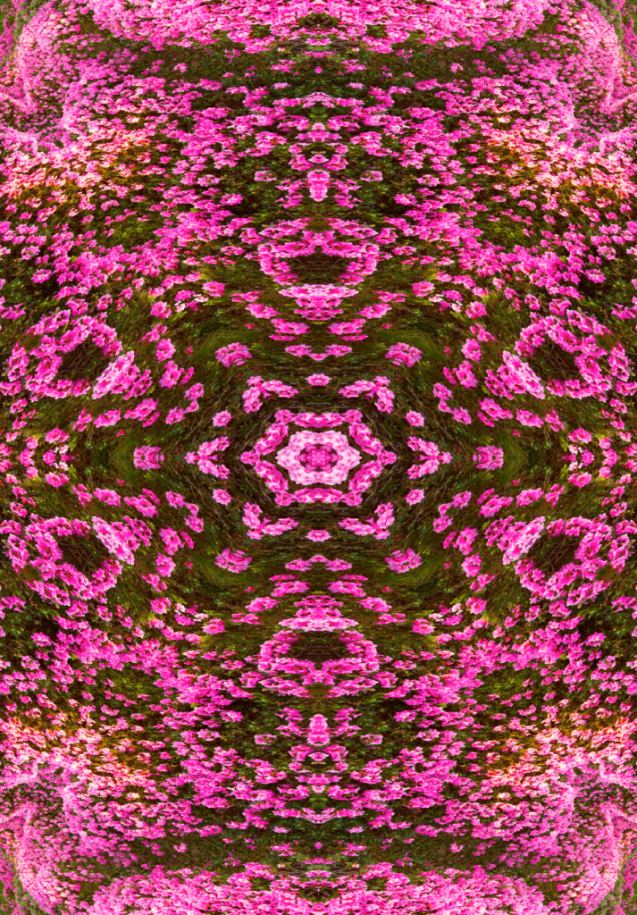 5 Easy and Creative Photo Editing Ideas You Should Try Today - Pixlr Blog