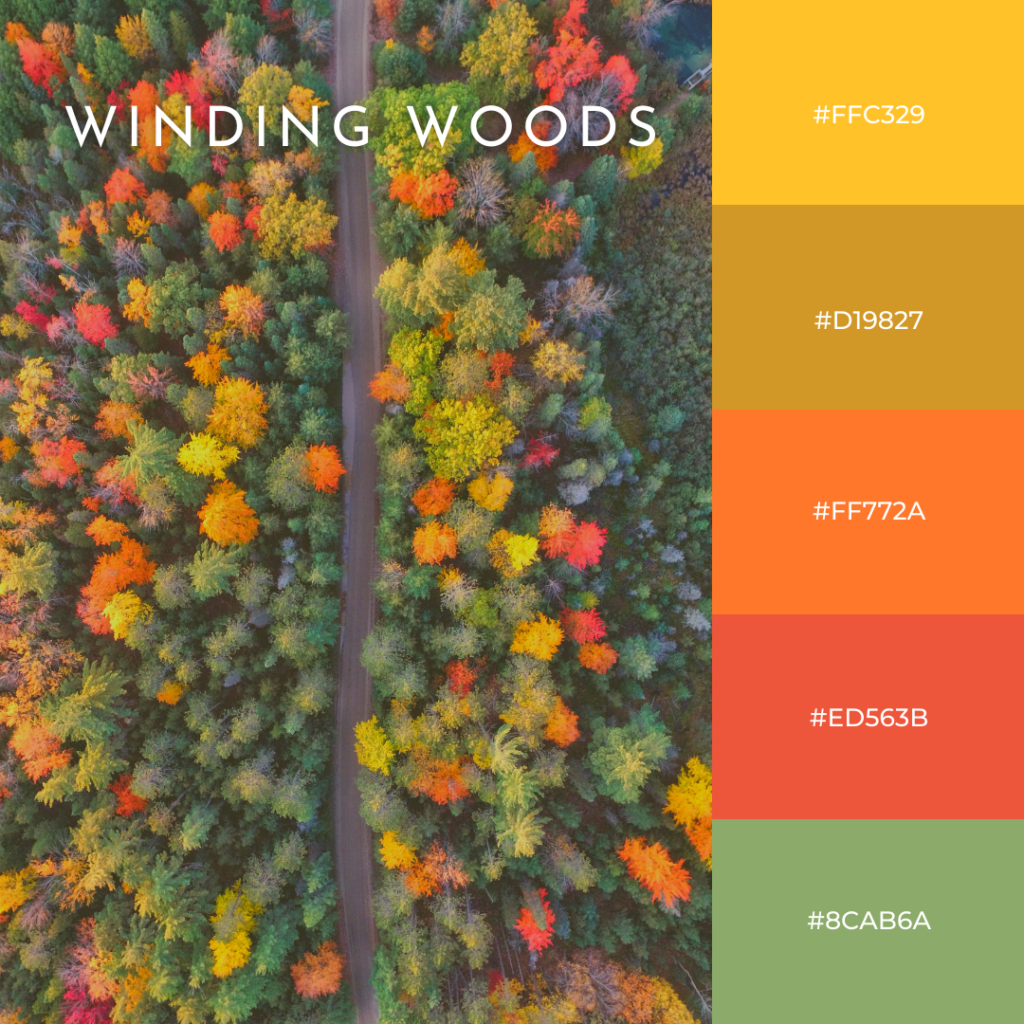 5 Fall Color Palettes & How To Use Them In Your Designs - Pixlr Blog
