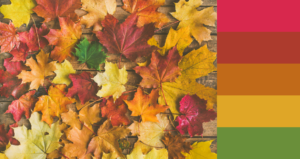 5 Fall Color Palettes & How To Use Them In Your Designs - Pixlr Blog