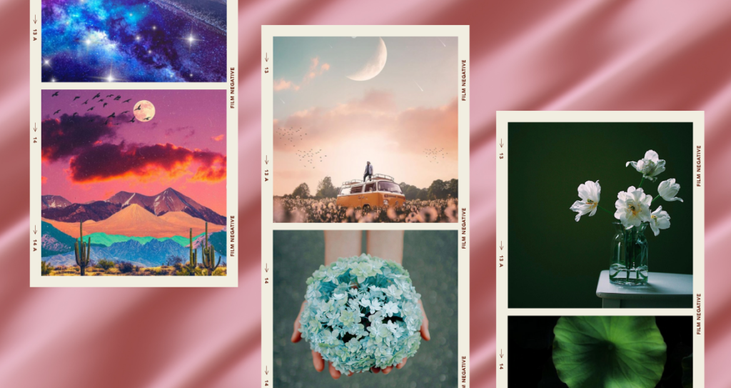 5 Popular Instagram Photo Editing Trends You Should Hop On - Pixlr Blog