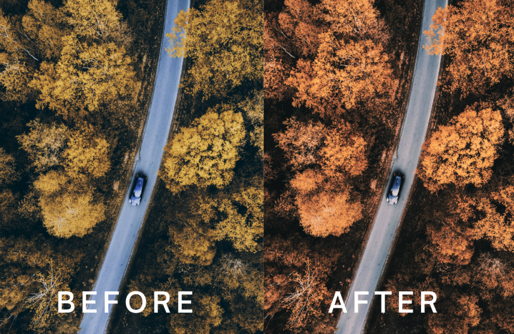 5 Creative Fall Photo Shoot & Photo Editing Ideas - Pixlr Blog