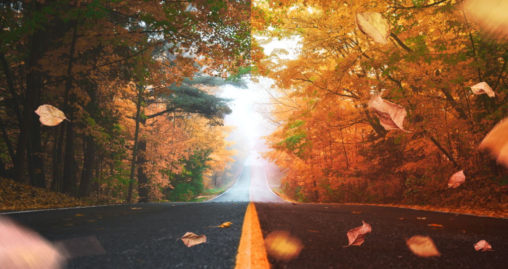 5 Creative Fall Photo Shoot & Photo Editing Ideas - Pixlr Blog