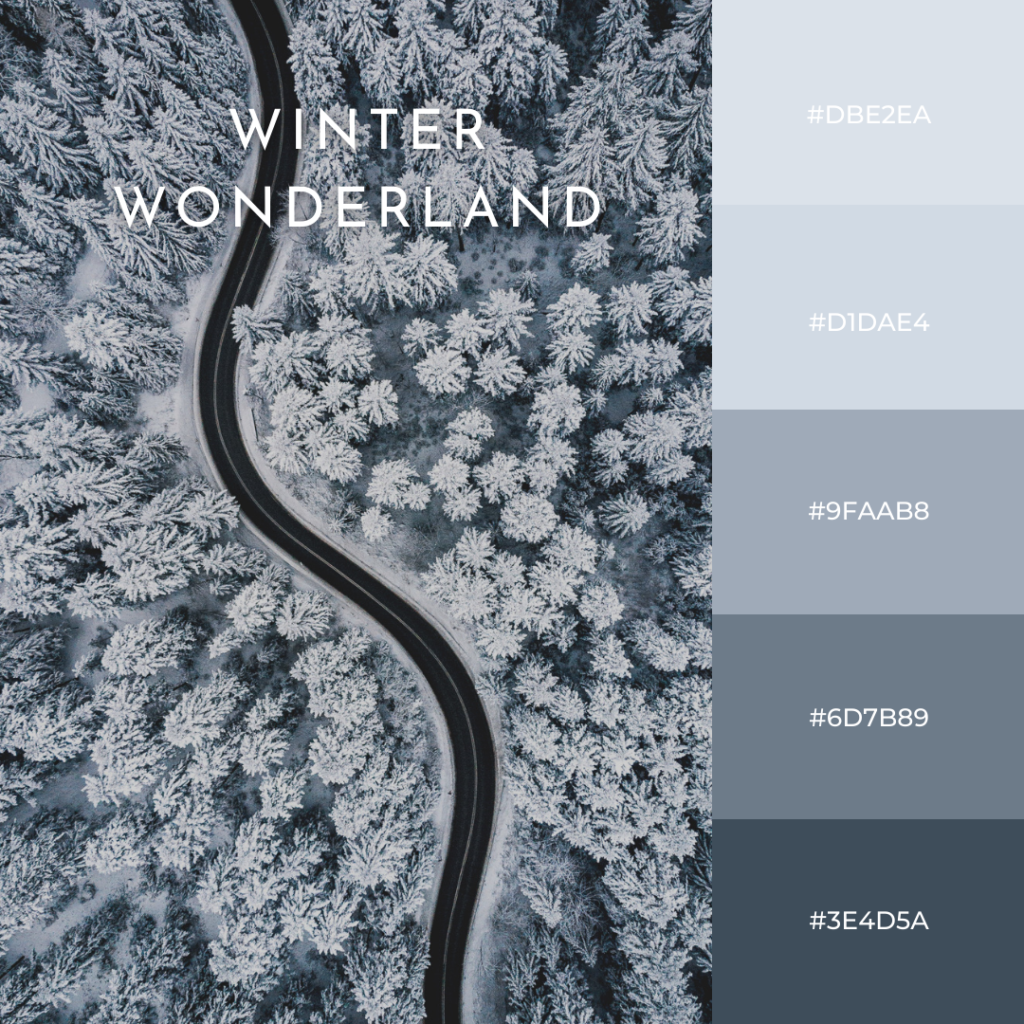 5 Festive Color Palettes to Use in Your Designs This Christmas - Pixlr Blog