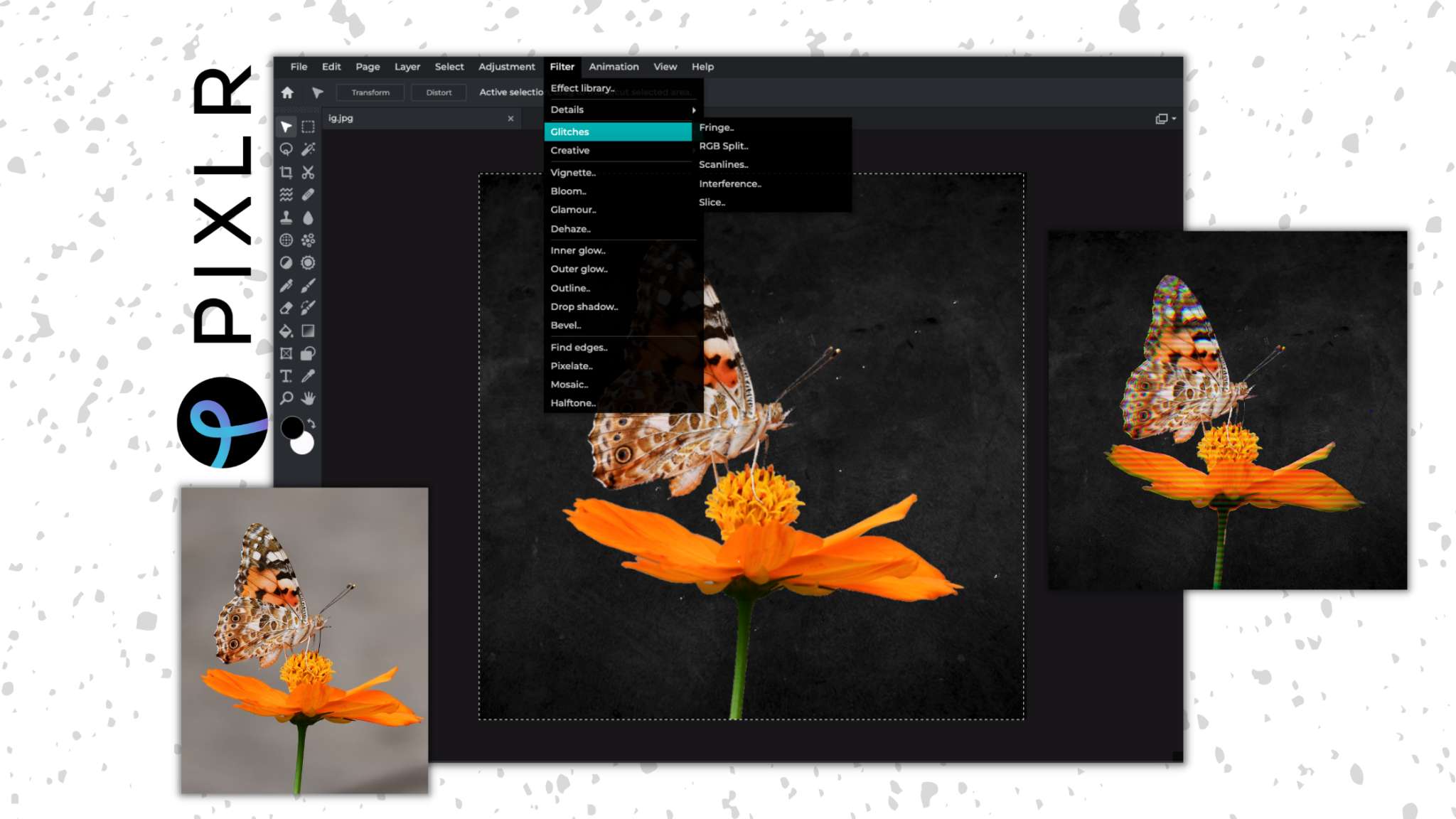 5 Flower Photography Tips and Inspiration - Pixlr Blog