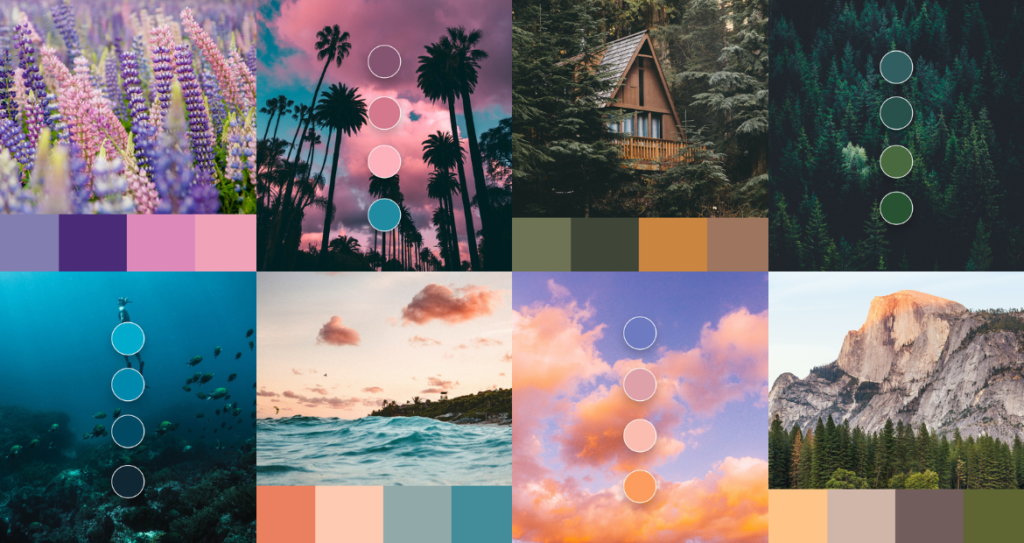 Color Schemes and How to Create Your Own with Pixlr - Pixlr Blog