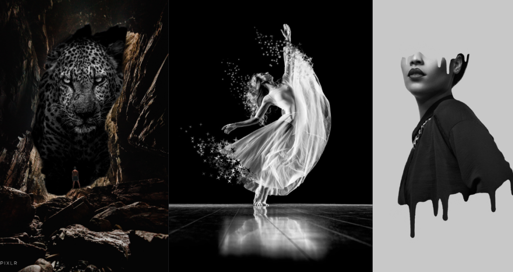 Pixlr: The Ultimate Creative Hub for Showcasing Your Graphic Design ...