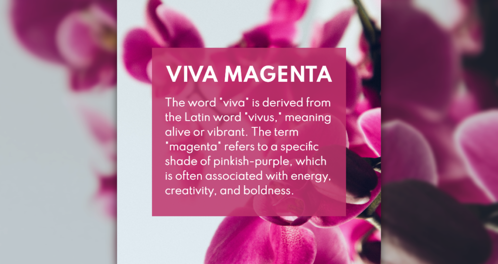 Pantone’s Color of The Year 2023: Viva Magenta - Pixlr Blog