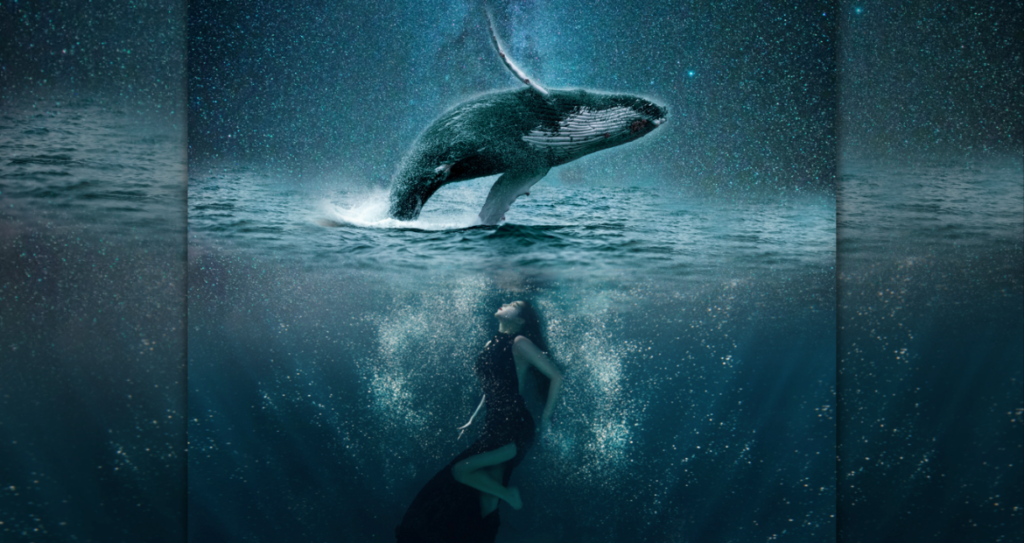 Exploring the Surreal World of Design with Pixlr - Pixlr Blog