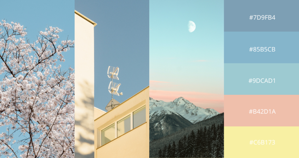 5 Spring Color Palettes That Will Brighten Your Designs - Pixlr Blog