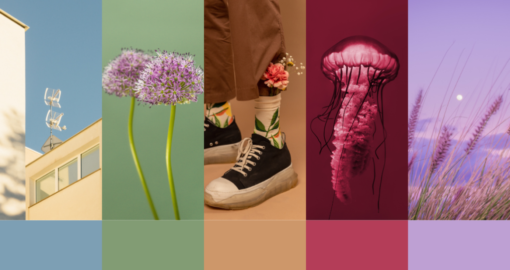 5 Spring Color Palettes That Will Brighten Your Designs - Pixlr Blog