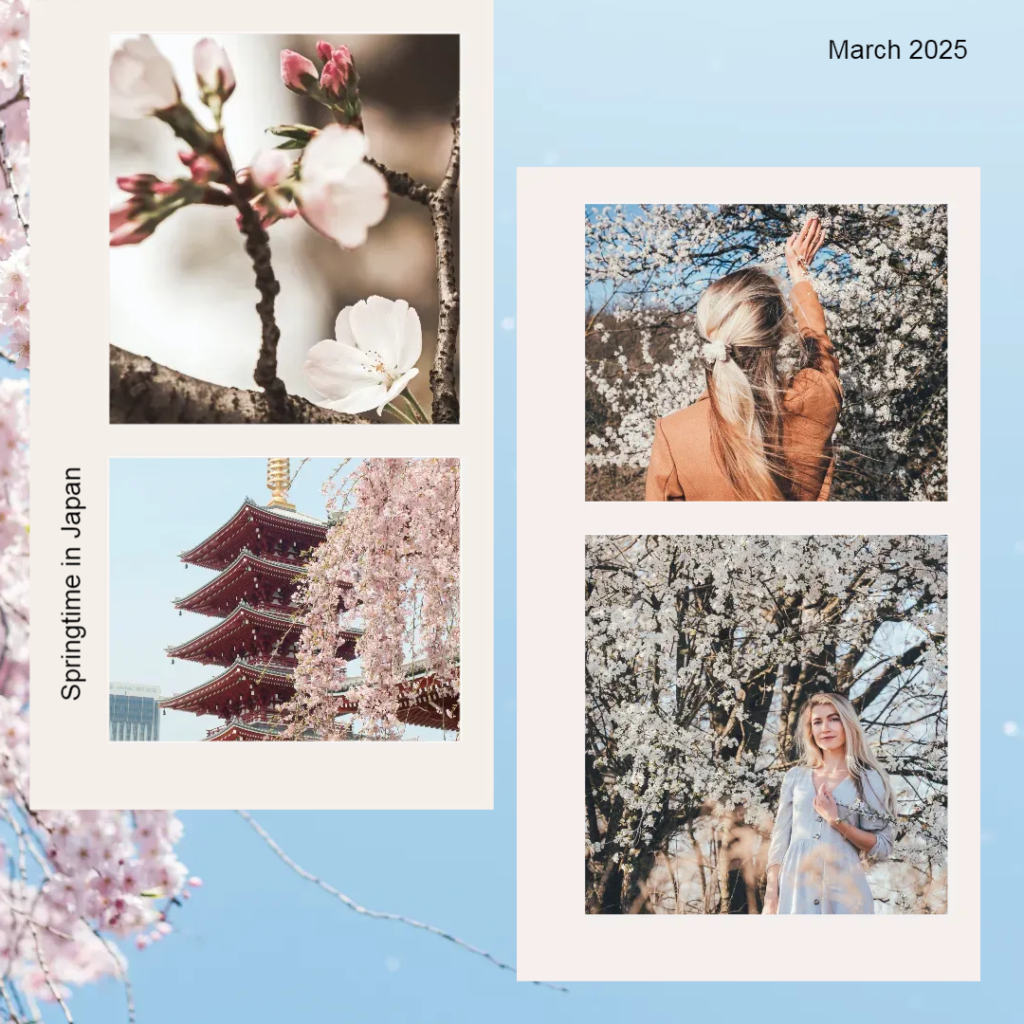 How to Create Stunning Collages in Minutes with Pixlr's Collage Maker ...