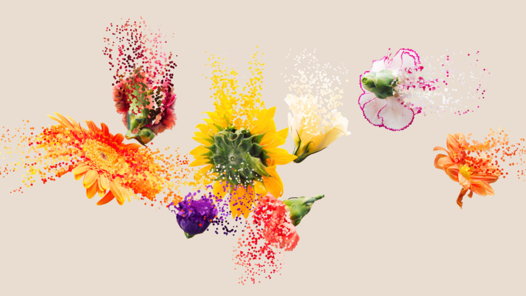 Creating Abstract Masterpieces with Pixlr's Dispersion Tool - Pixlr Blog