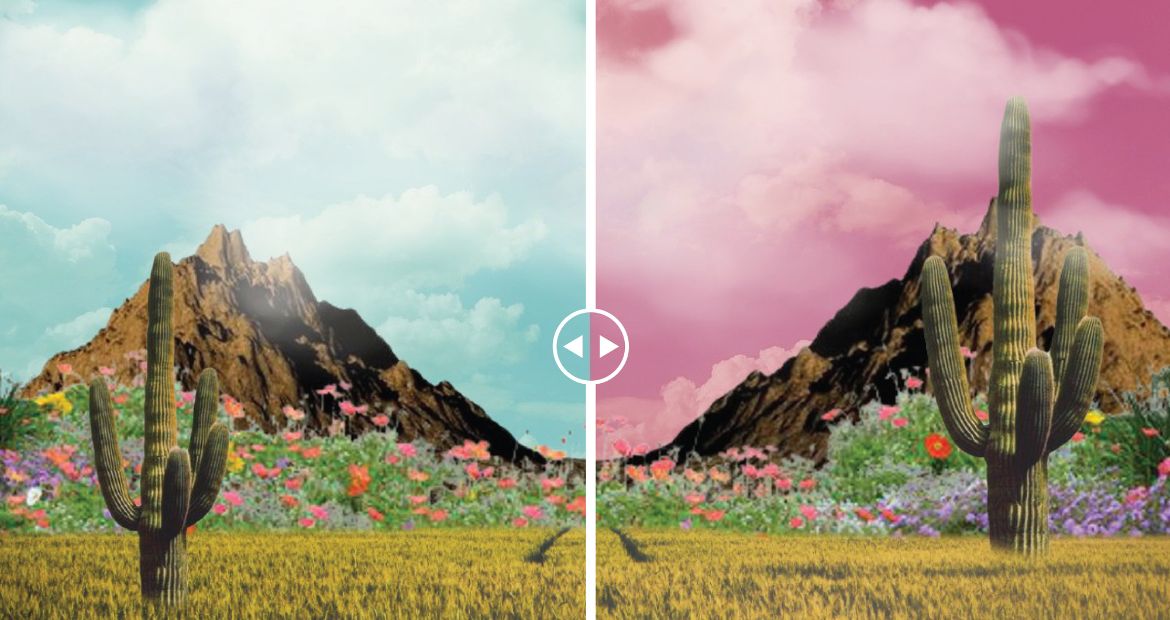 The Art of Color Correction: Expert Tips from Pixlr Masters - Pixlr Blog